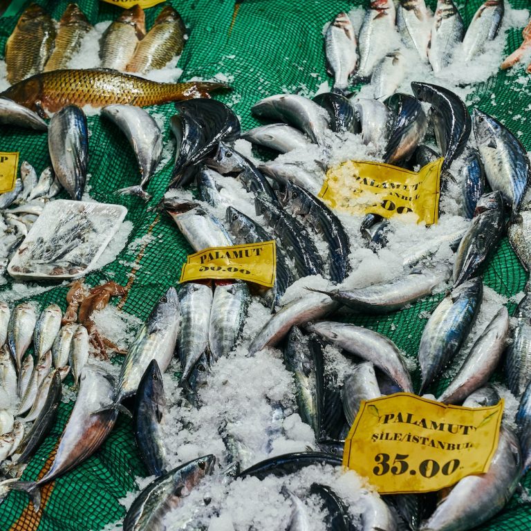 Cara Ekspor Hasil Laut: Simak Langkah-Langkahnya!